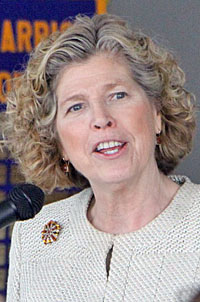 This dog seems to be studying the map showing the walking route for ...