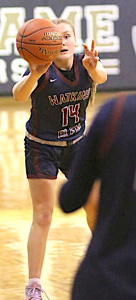 The Odessa The File: Sports of Schuyler County